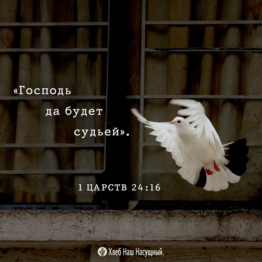 Share ODB 2023-02-26 | Хлеб Наш Насущный