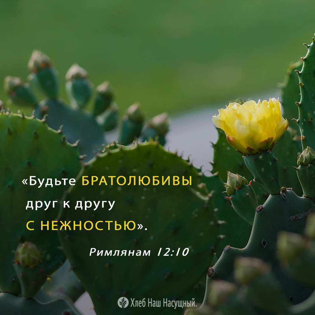 Share ODB 2023-11-28 | Хлеб Наш Насущный