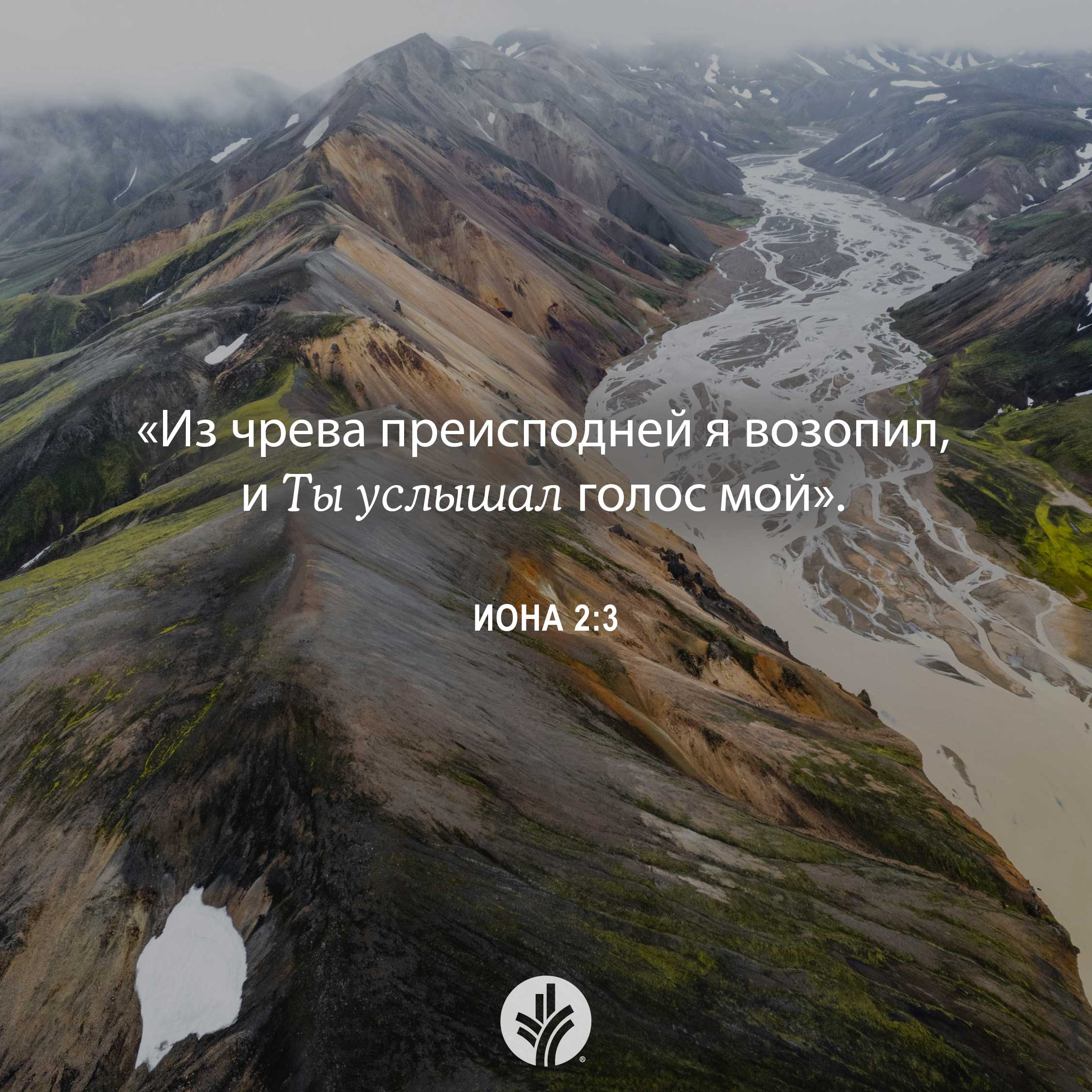 Share ODB 2024-10-25 | Хлеб Наш Насущный