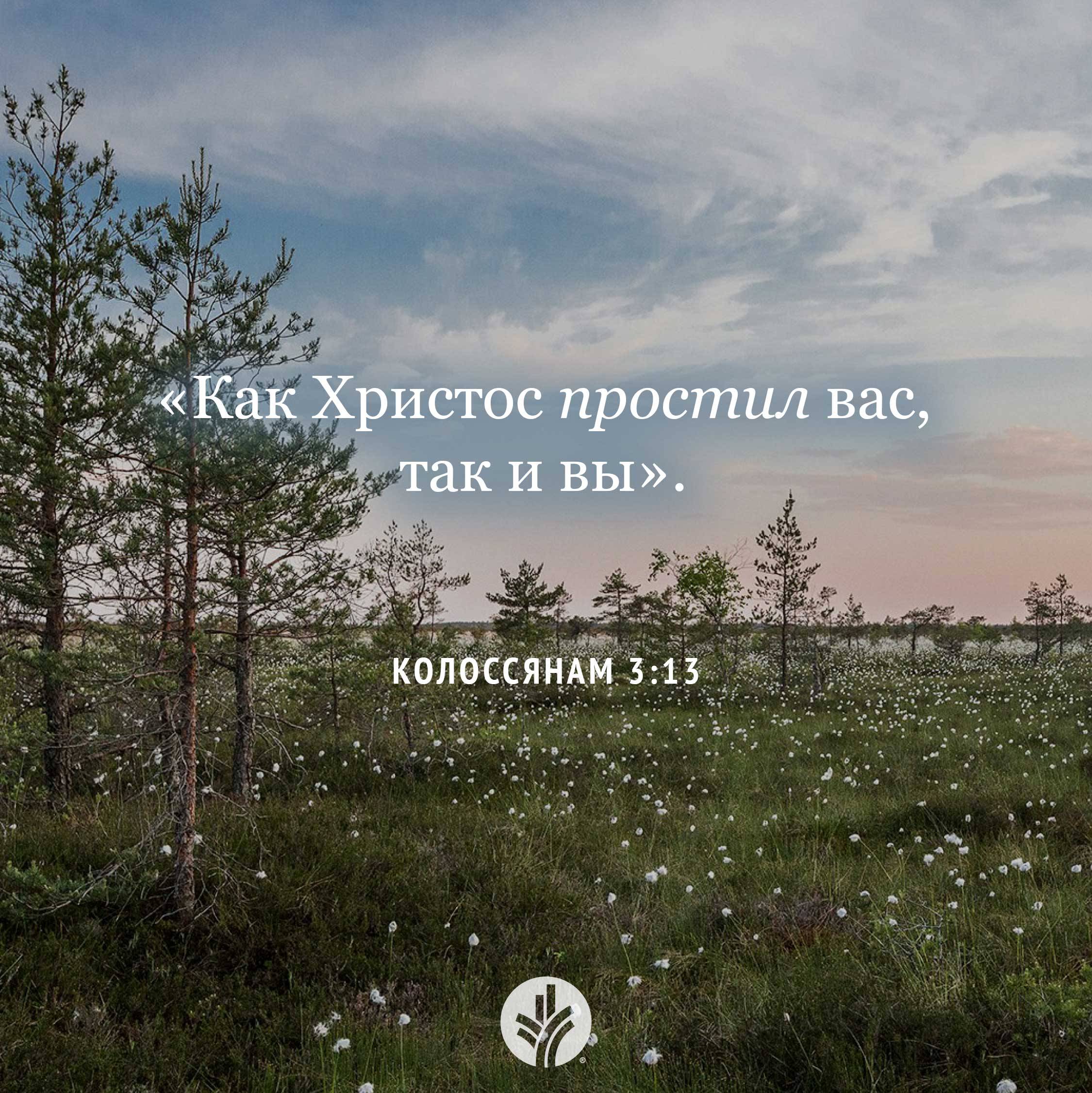 Share ODB 2024-10-28 | Хлеб Наш Насущный