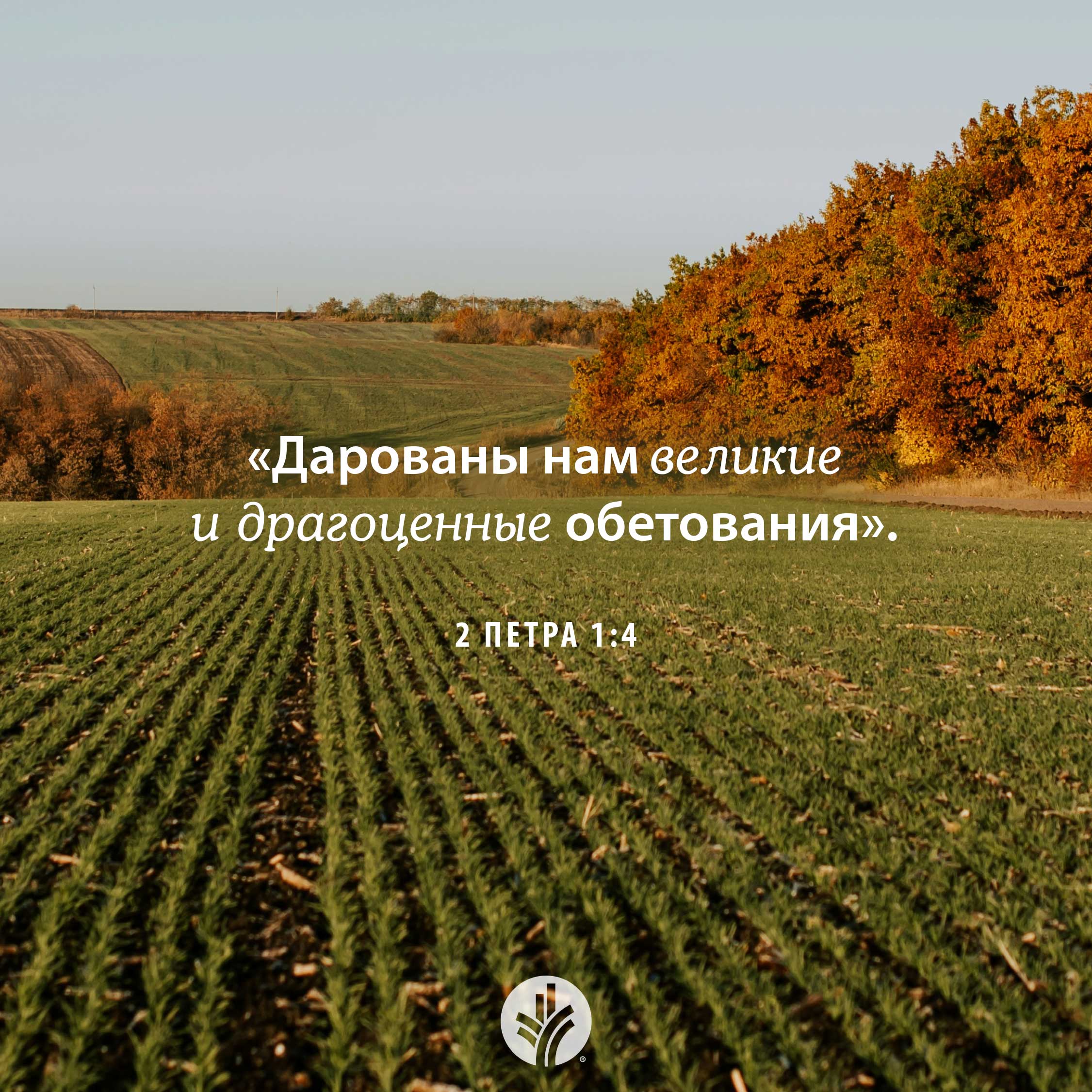 Share ODB 2024-10-30 | Хлеб Наш Насущный