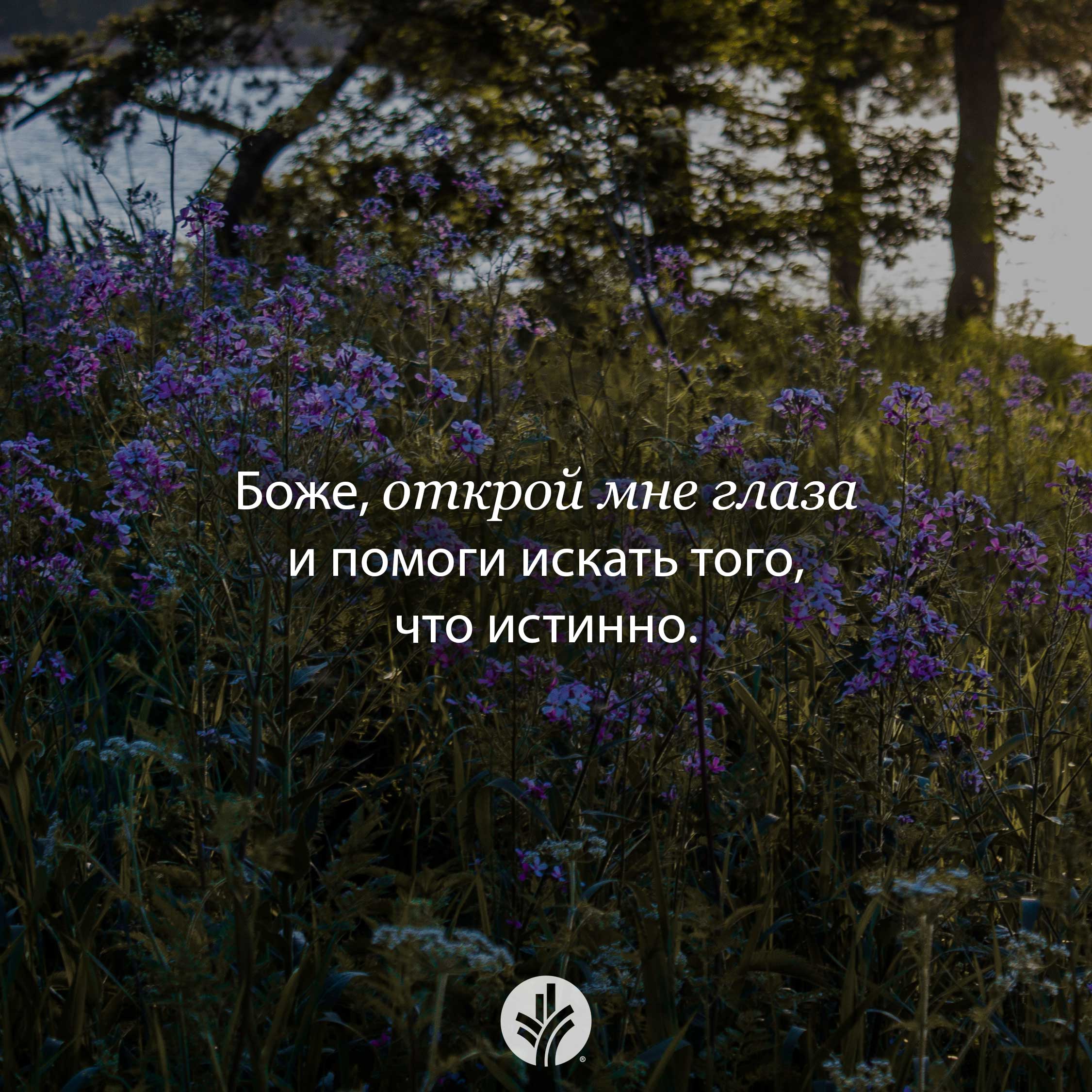 Share ODB 2024-11-06 | Хлеб Наш Насущный