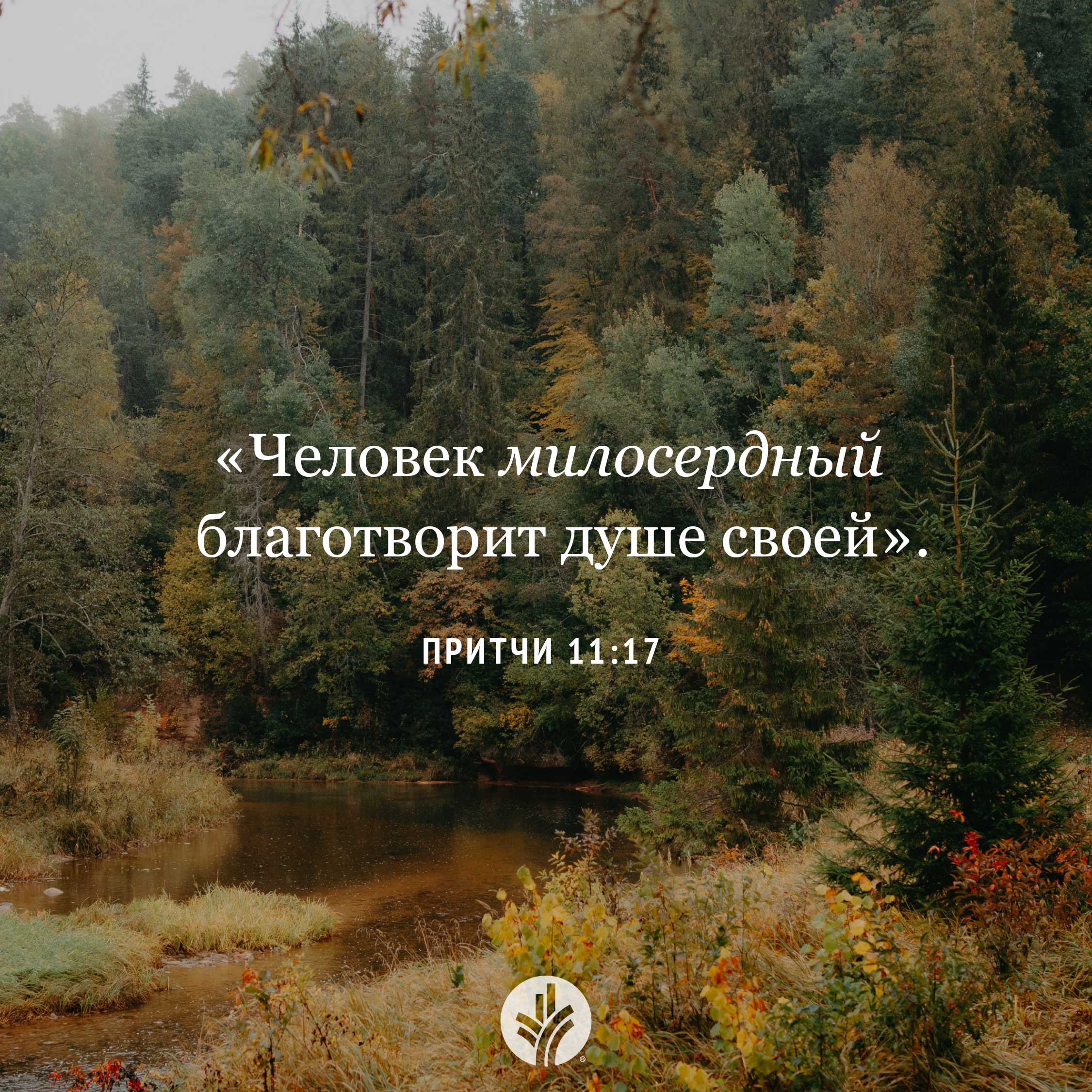Share ODB 2024-11-13 | Хлеб Наш Насущный