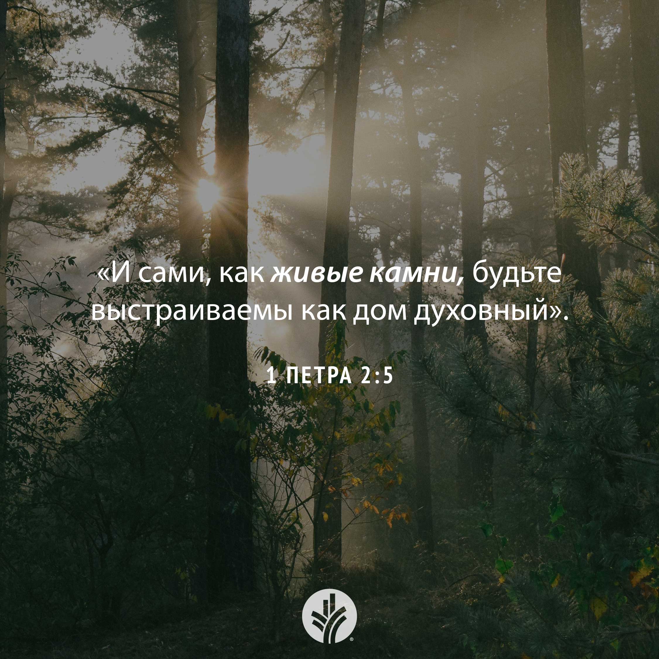 Share ODB 2024-12-01 | Хлеб Наш Насущный