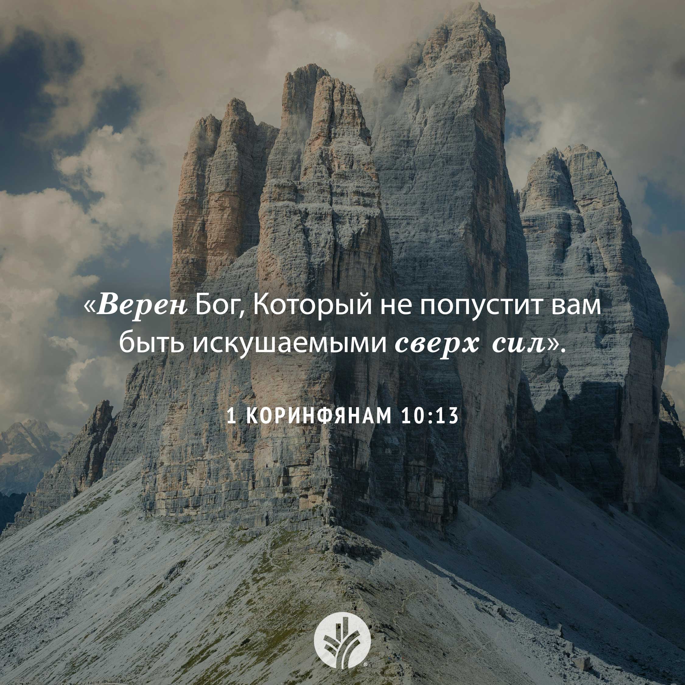 Share ODB 2024-12-07 | Хлеб Наш Насущный