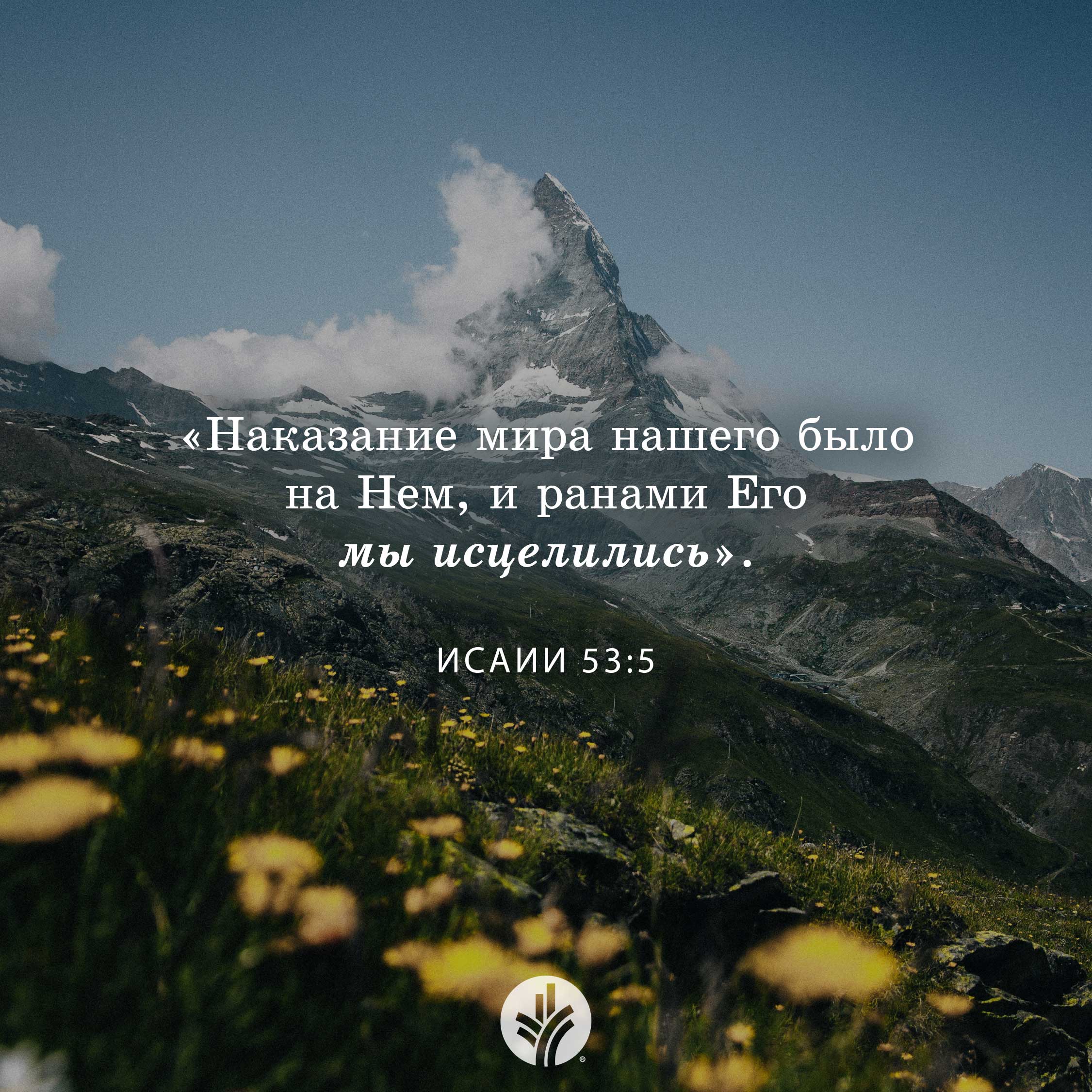 Share ODB 2024-12-20 | Хлеб Наш Насущный