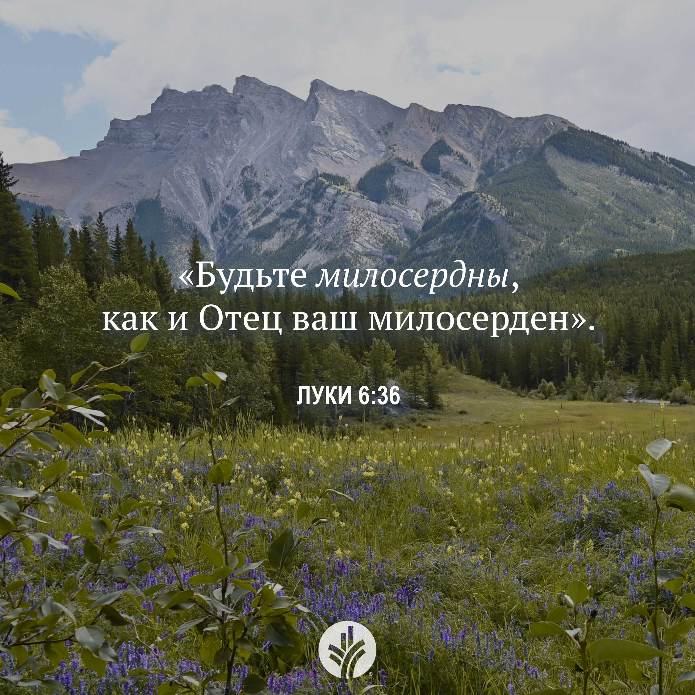 Share ODB 2025-02-25 | Хлеб Наш Насущный